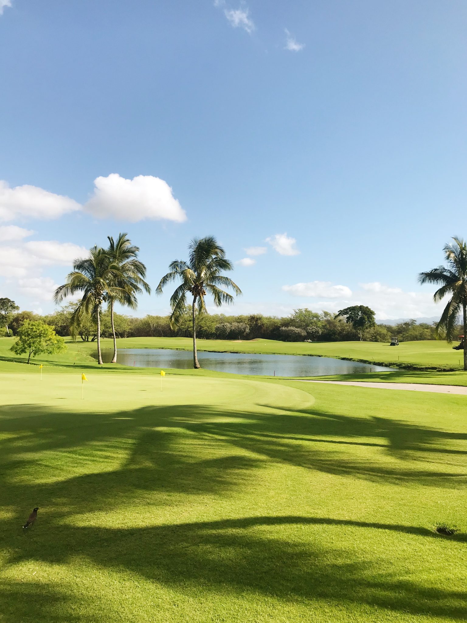 What Is AW Golf Club? (Lofts, Distances, Uses)