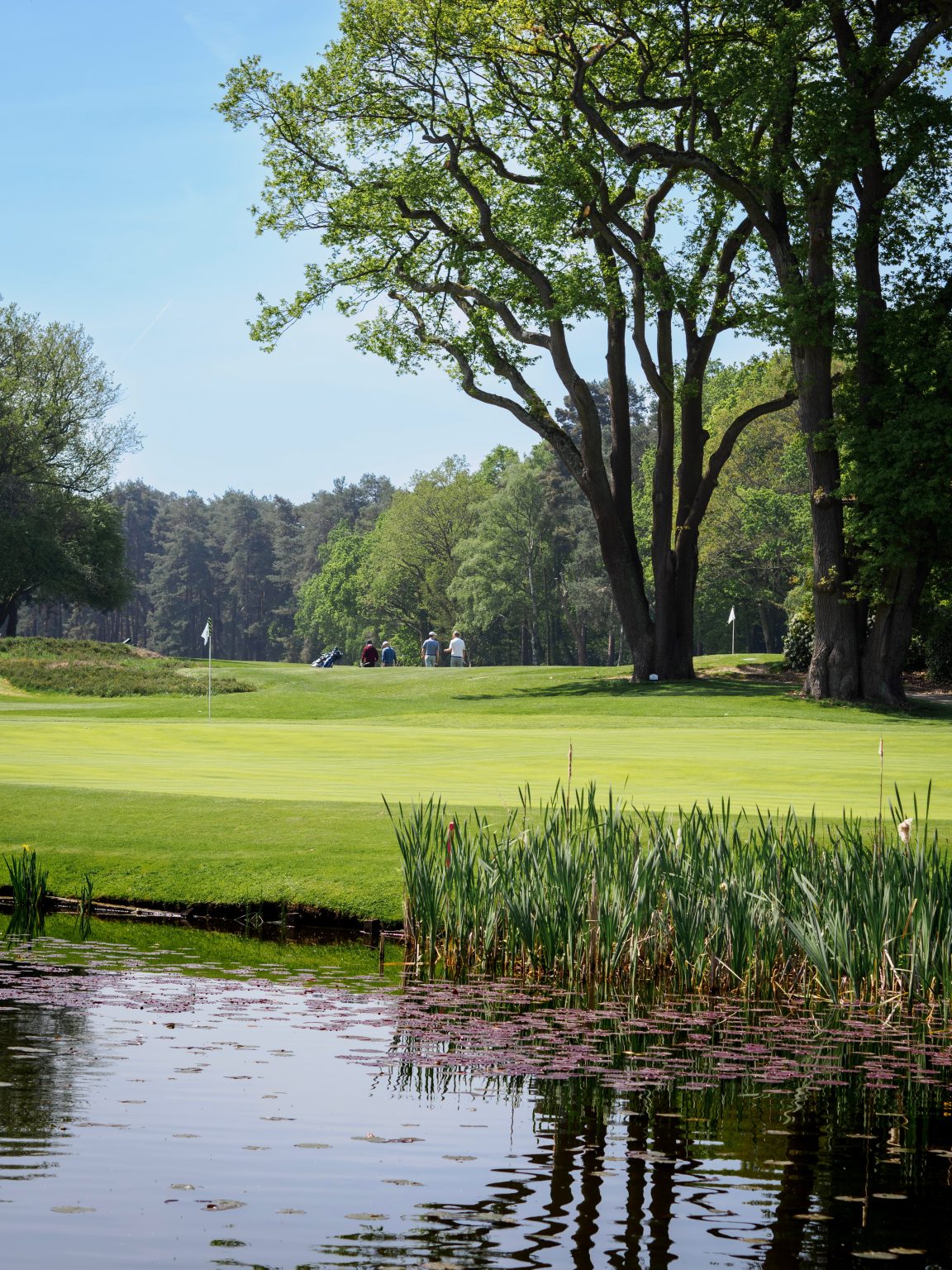 What Is A 6 Iron Golf Club? (Distance, Loft, Benefits)