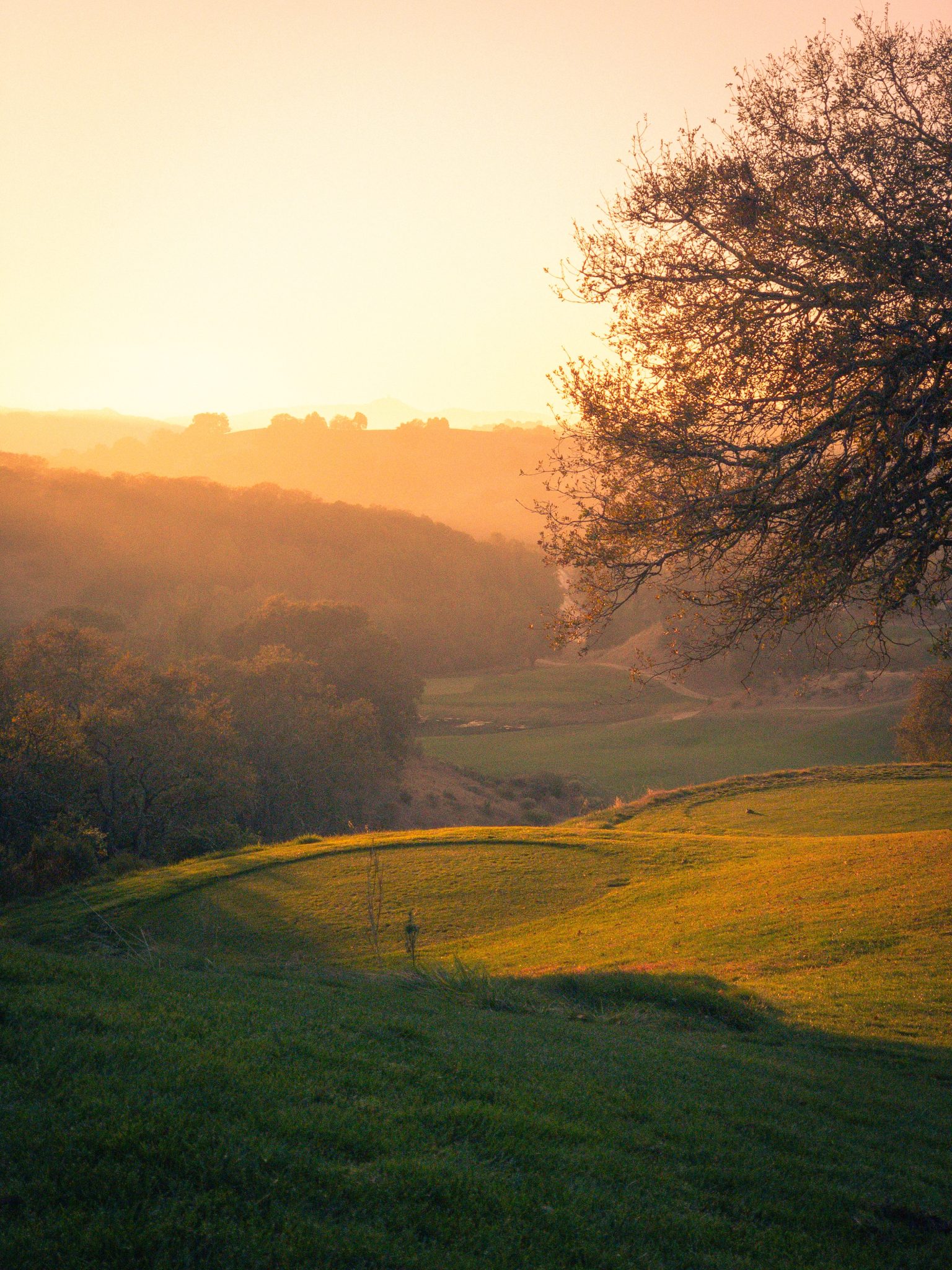 What Is A 6 Iron Golf Club? (Distance, Loft, Benefits)